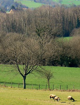 34 BEST Femce IMAGES, STOCK PHOTOS & VECTORS | Adobe Stock