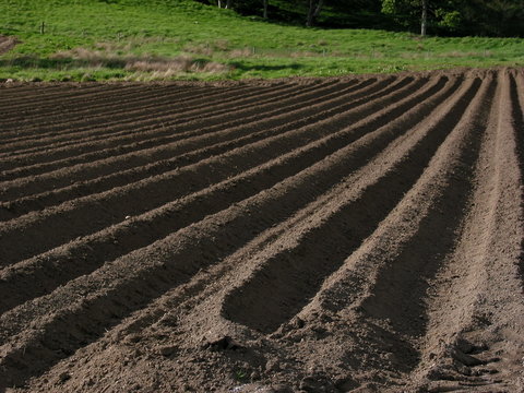 Ackerfurchen bilder – Bläddra bland 396 stockfoton, vektorer och videor ...