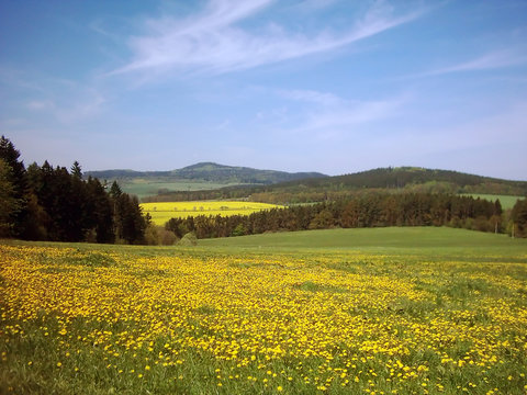 「Medow」の写真素材 | 3,773件の無料イラスト画像 | Adobe Stock