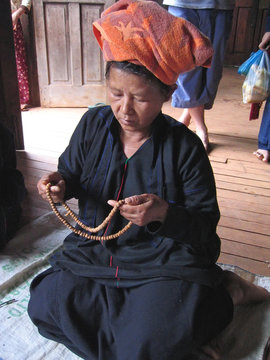 Birmans Images – Browse 63 Stock Photos, Vectors, and Video | Adobe Stock