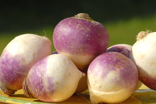 รูปภาพNavet – เลือกดูภาพถ่ายสต็อก เวกเตอร์ และวิดีโอ1,378 | Adobe Stock