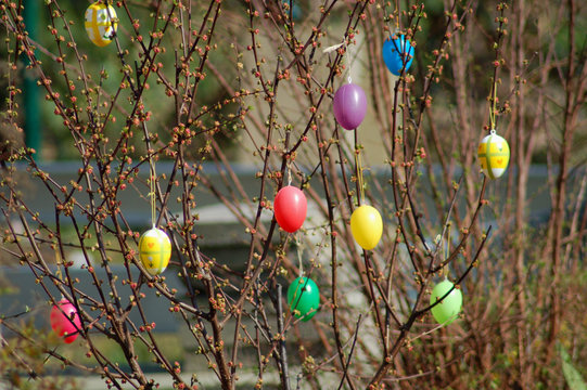 Osterstrauch Images – Browse 846 Stock Photos, Vectors, and Video ...