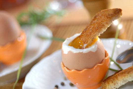 Mouillette bilder – Bläddra bland 208 stockfoton, vektorer och videor ...