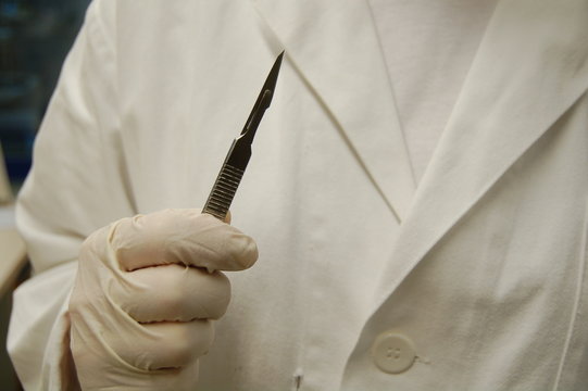 รูปภาพDissect – เลือกดูภาพถ่ายสต็อก เวกเตอร์ และวิดีโอ16,071 | Adobe Stock