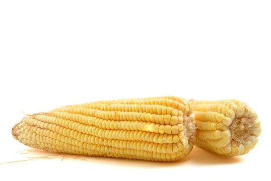 Corn-Cob Images – Browse 76,604 Stock Photos, Vectors, and Video ...