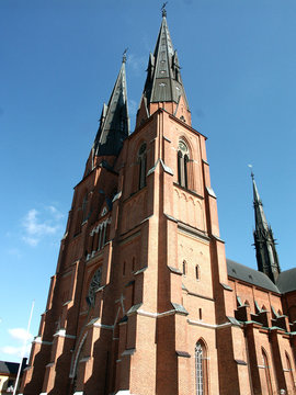 Kropfbildung Bilder – Durchsuchen 194 Archivfotos, Vektorgrafiken und ...