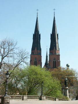 Kropfbildung Bilder – Durchsuchen 146 Archivfotos, Vektorgrafiken und ...