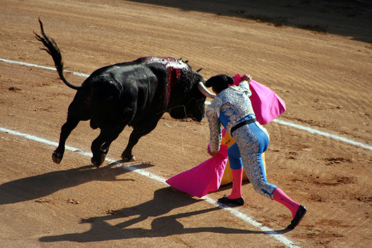 Corrida 이미지 – 찾아보기 34,631 스톡 사진, 벡터 및 비디오 | Adobe Stock