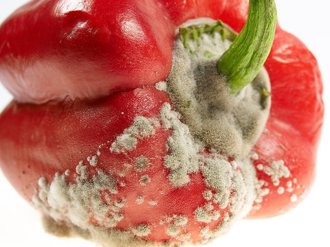 「Runzelig」の画像 - 373 件の Stock 写真、ベクターおよびビデオ | Adobe Stock