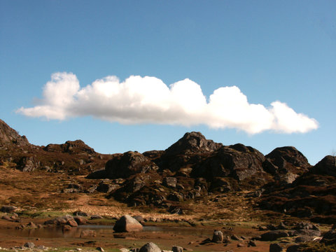 Kropfbildung Bilder – Durchsuchen 193 Archivfotos, Vektorgrafiken und ...