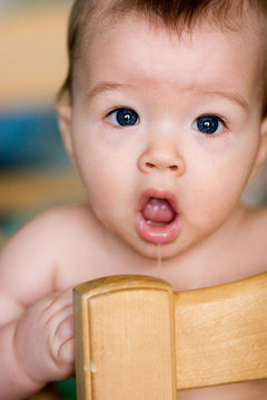 รูปภาพSlobber – เลือกดูภาพถ่ายสต็อก เวกเตอร์ และวิดีโอ74,223 | Adobe Stock