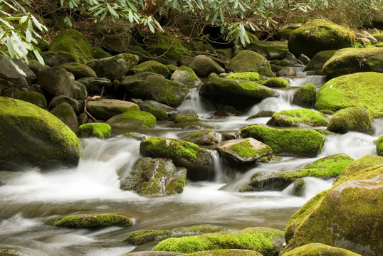 Ralph Petty photos, images, assets | Adobe Stock