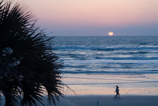 Ralph Petty photos, images, assets | Adobe Stock