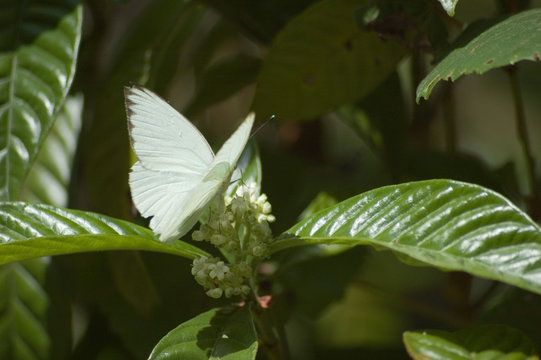 Ralph Petty photos, images, assets | Adobe Stock