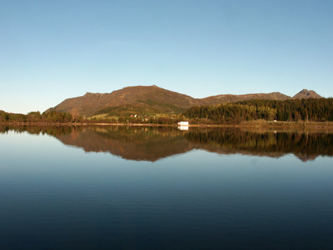 Kropfbildung Bilder – Durchsuchen 193 Archivfotos, Vektorgrafiken und ...