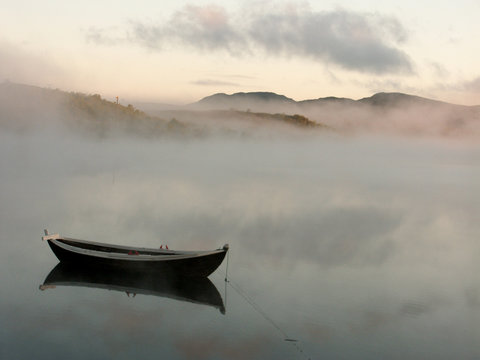 Kropfbildung Bilder – Durchsuchen 146 Archivfotos, Vektorgrafiken und ...