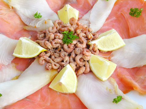 「Elbot」の写真素材 | 13件の無料イラスト画像 | Adobe Stock