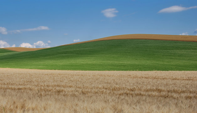 รูปภาพ"Feld – เลือกดูภาพถ่ายสต็อก เวกเตอร์ และวิดีโอ692,712 | Adobe Stock