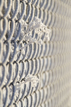 Umble 이미지 – 찾아보기 264 스톡 사진, 벡터 및 비디오 | Adobe Stock