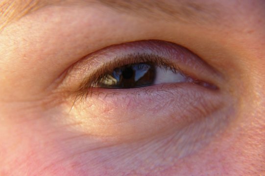 Malicieux Images – Browse 518 Stock Photos, Vectors, and Video | Adobe ...