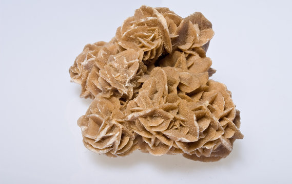 Imágenes de Sandrose: descubre bancos de fotos, ilustraciones, vectores ...