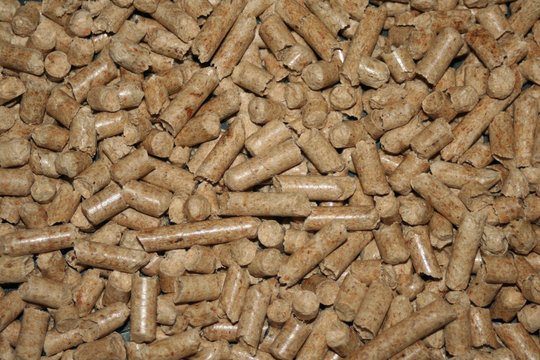 Pelettes 影像 – 瀏覽 4 個素材庫相片、向量圖和影片 | Adobe Stock