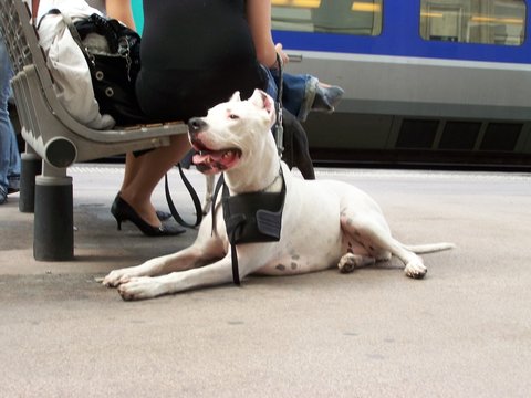 Dfdsfds Images – Browse 2 Stock Photos, Vectors, and Video | Adobe Stock