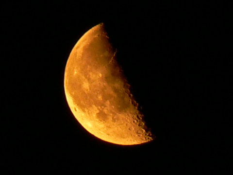 Mun Images – Browse 23,462 Stock Photos, Vectors, and Video | Adobe Stock