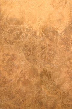 Chene Bilder – Durchsuchen 699 Archivfotos, Vektorgrafiken und Videos ...