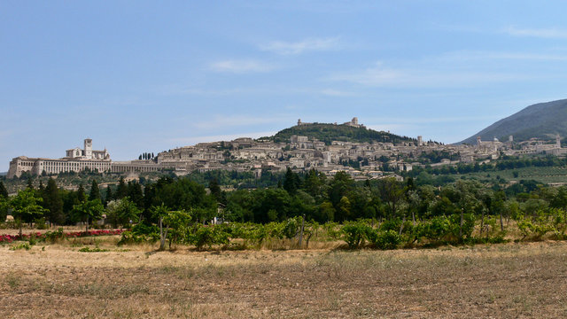 Asisi Images – Browse 97 Stock Photos, Vectors, and Video | Adobe Stock