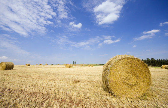 「Heurolle」の画像 - 192 件の Stock 写真、ベクターおよびビデオ | Adobe Stock