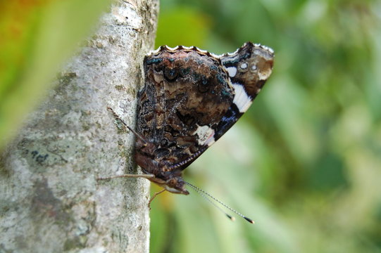 Dsdsdd Images – Browse 2 Stock Photos, Vectors, and Video | Adobe Stock