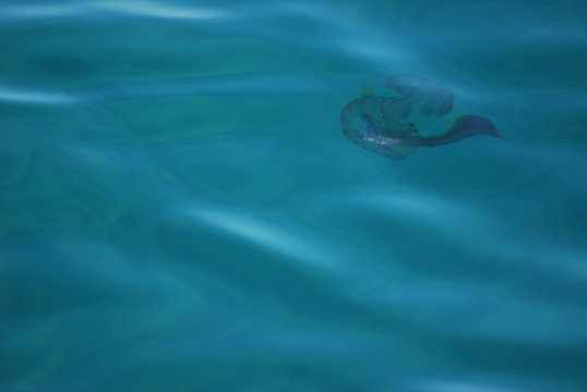 รูปภาพGhhghg – เลือกดูภาพถ่ายสต็อก เวกเตอร์ และวิดีโอ2 | Adobe Stock