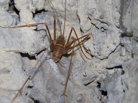 Dgfdgf Images – Browse 1 Stock Photos, Vectors, and Video | Adobe Stock