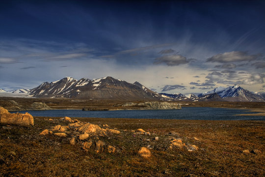 Barents bilder – Bläddra bland 12,075 stockfoton, vektorer och videor ...