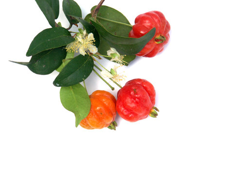 Rousaille bilder – Bläddra bland 13 stockfoton, vektorer och videor ...