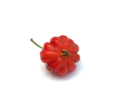 Rousaille Images – Browse 13 Stock Photos, Vectors, and Video | Adobe Stock