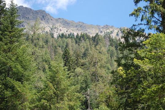 "Foret Montagne" - Images et vidéos libres de droits | Adobe Stock