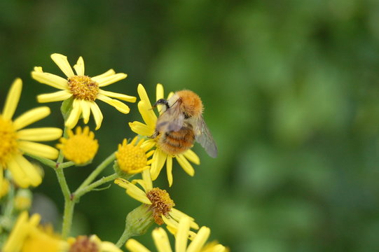 「Ddssd」の写真素材 | 11件の無料イラスト画像 | Adobe Stock
