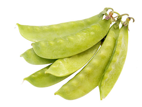 Mange-Tout Images – Browse 7,625 Stock Photos, Vectors, and Video ...