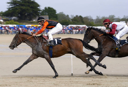 รูปภาพGalopeurs – เลือกดูภาพถ่ายสต็อก เวกเตอร์ และวิดีโอ9 | Adobe Stock