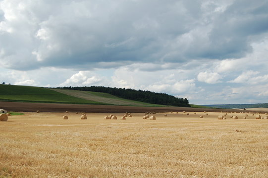 Bvbvbv Images – Browse 4 Stock Photos, Vectors, and Video | Adobe Stock