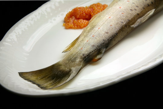 Fischflossenstruktur