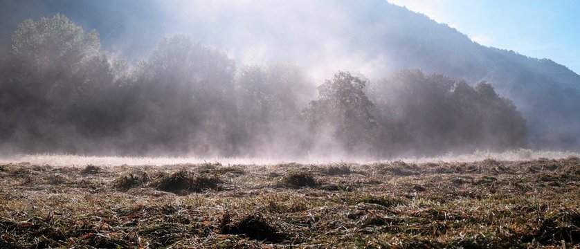 รูปภาพMatin – เลือกดูภาพถ่ายสต็อก เวกเตอร์ และวิดีโอ48,665 | Adobe Stock