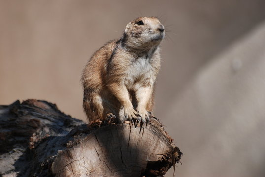 Imágenes de Jhgjh: descubre bancos de fotos, ilustraciones, vectores y vídeos de 1 | Adobe Stock