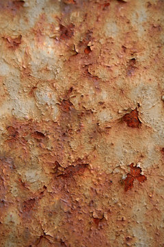 รูปภาพRostrot – เลือกดูภาพถ่ายสต็อก เวกเตอร์ และวิดีโอ986 | Adobe Stock