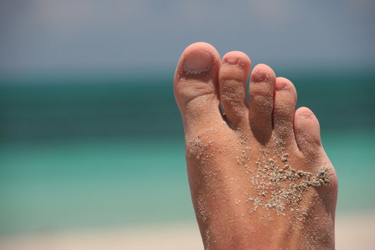 "Zehen bilder – Bläddra bland 6,040 stockfoton, vektorer och videor ...