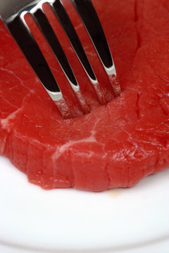 Imagens de Meat-Eater – Explore Fotografias do Stock, Vetores e Vídeos ...