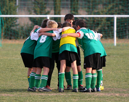 รูปภาพHaptera – เลือกดูภาพถ่ายสต็อก เวกเตอร์ และวิดีโอ1,357 | Adobe Stock