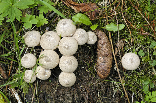 รูปภาพVesse – เลือกดูภาพถ่ายสต็อก เวกเตอร์ และวิดีโอ314 | Adobe Stock